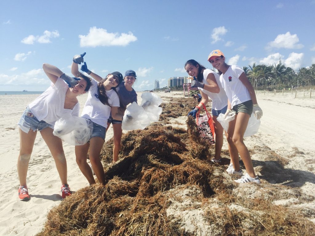 Clean-ups | Miami Beach - Rising Above
