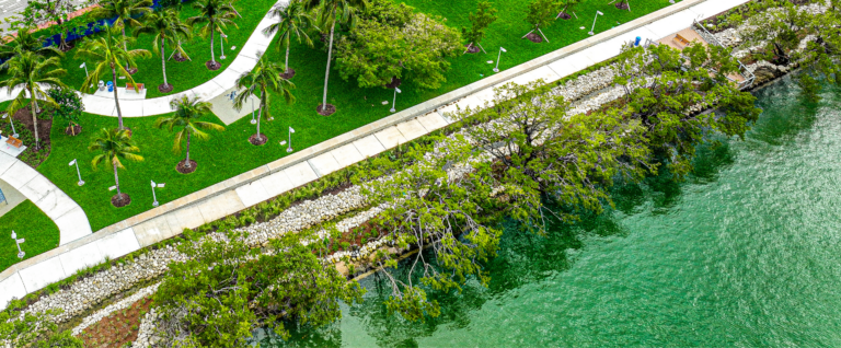 Living Shorelines | Miami Beach - Rising Above