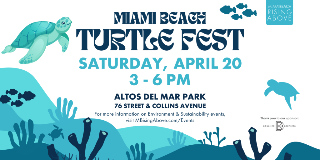 Sea Turtles | Miami Beach - Rising Above