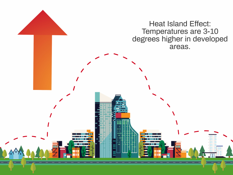 Urban Heat Island Effect | Miami Beach - Rising Above